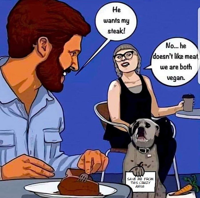 Poor dog! - Meme by schizoidman :) Memedroid