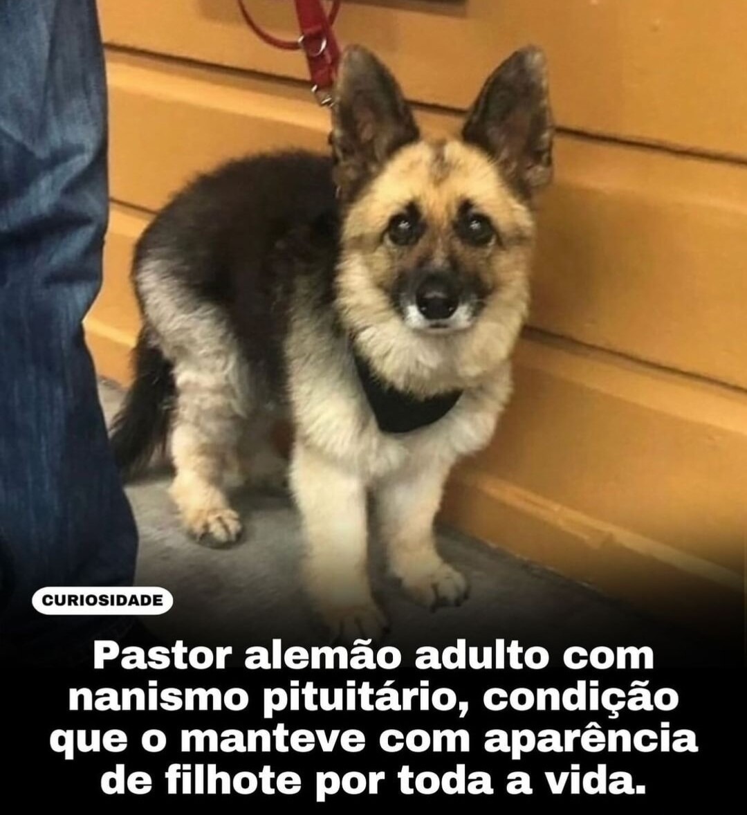 The Latest Memes :) Memedroid