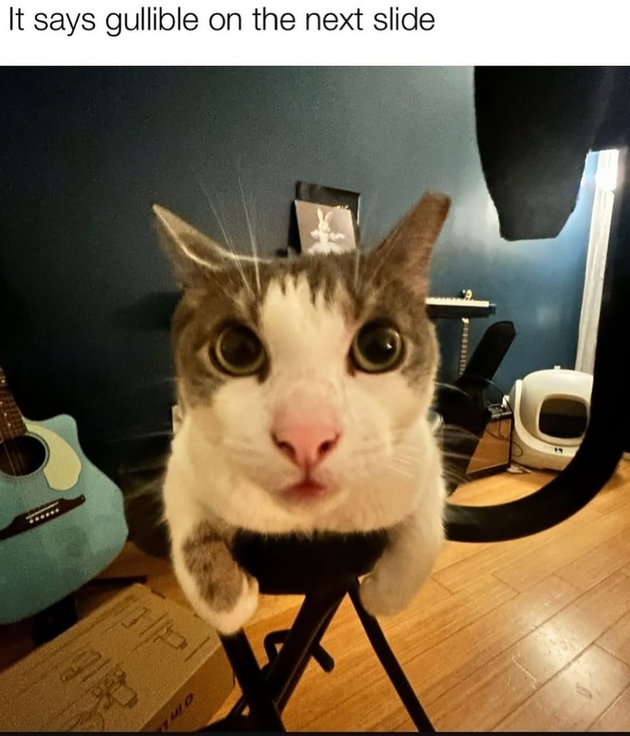 The best Prank memes :) Memedroid