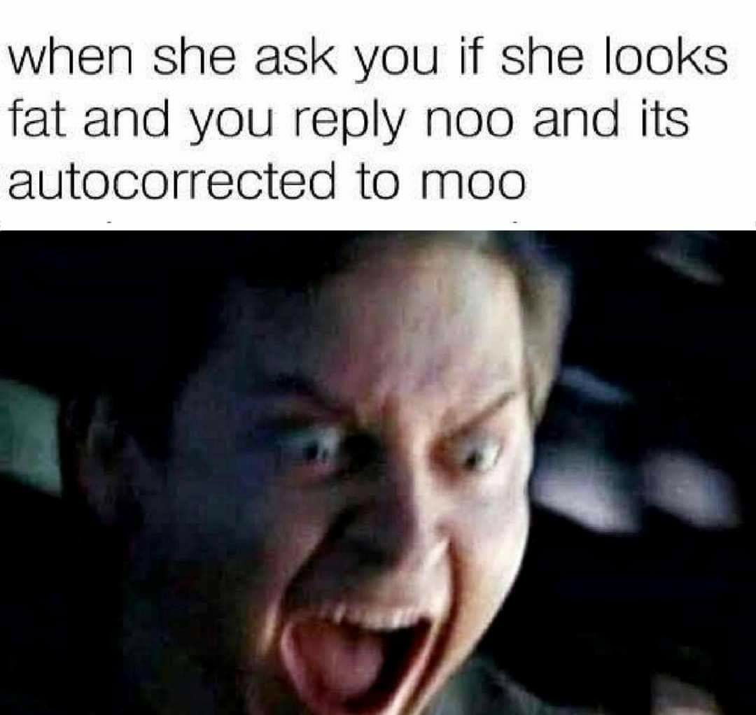 Moo - Meme by audilover23 :) Memedroid