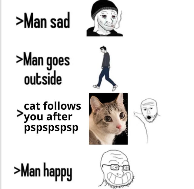 Happy Cat Meme Yes