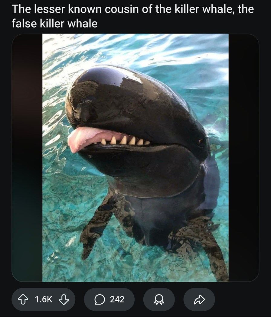 The best Ocean memes :) Memedroid
