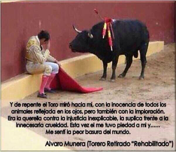 Toros... - Meme subido por Nikica :) Memedroid