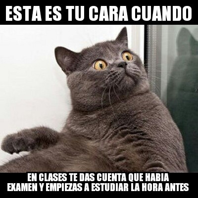 Memes Estudiando