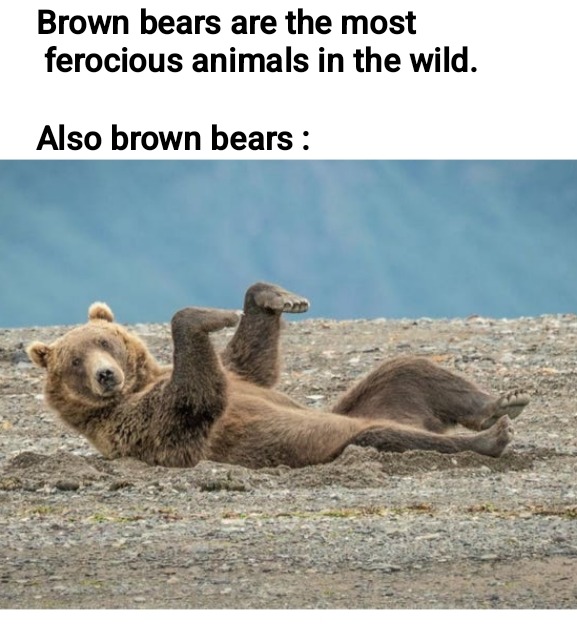 The best Happy memes :) Memedroid