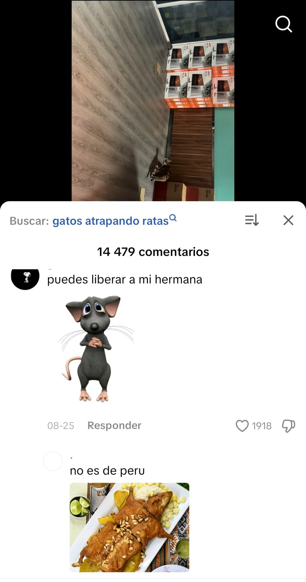 Top memes de Ratón en español :) Memedroid