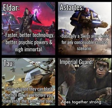 The Latest Memes :) Memedroid