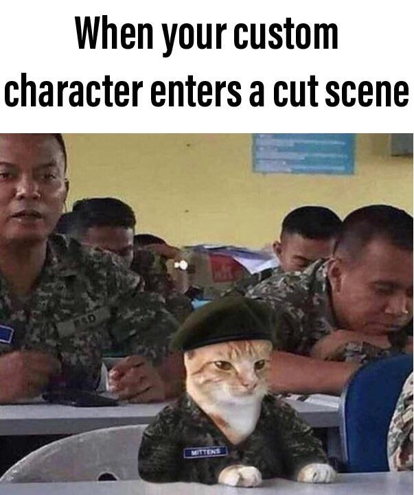 Custom character enters a cut scene - Meme by RoboSheepz :) Memedroid