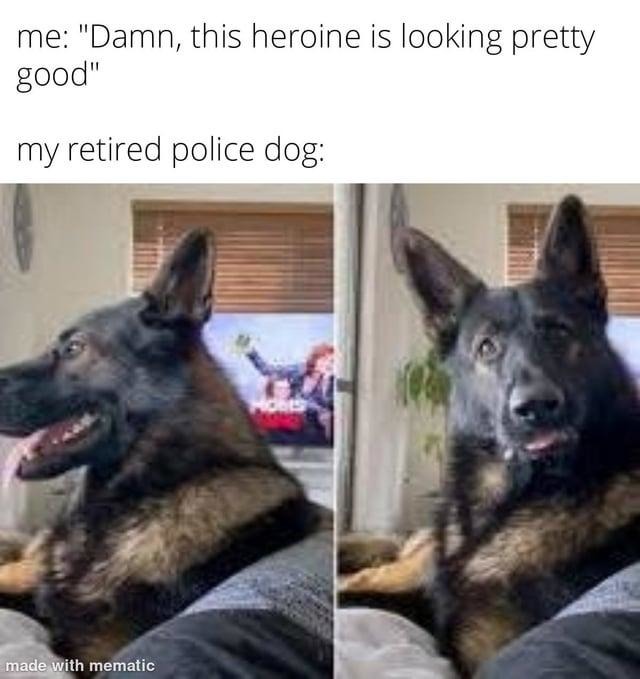 The best Heroinemoment memes :) Memedroid