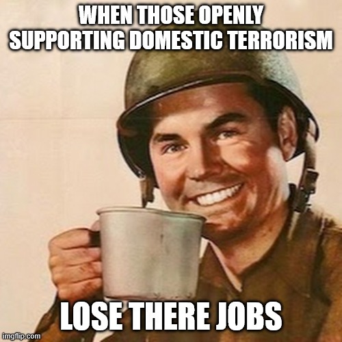 Domestic Terrorist Memes