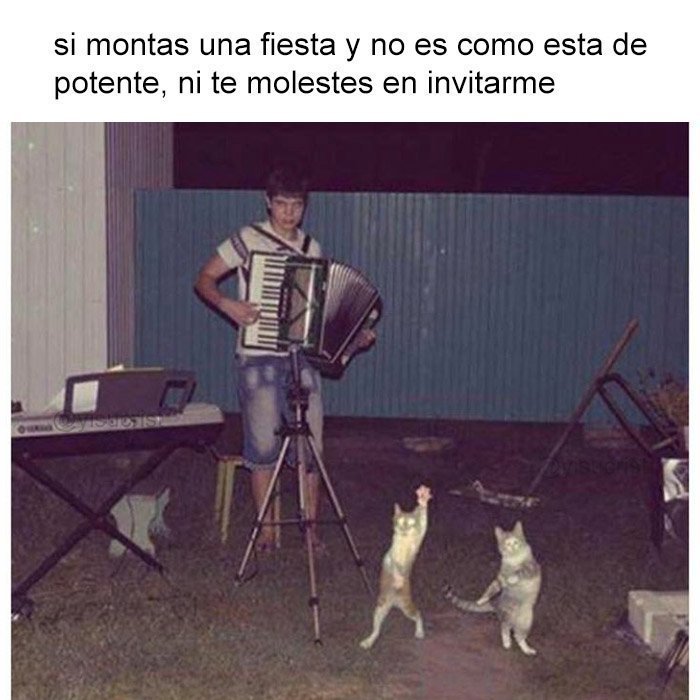 Fiesta loca - Meme subido por Zakola :) Memedroid