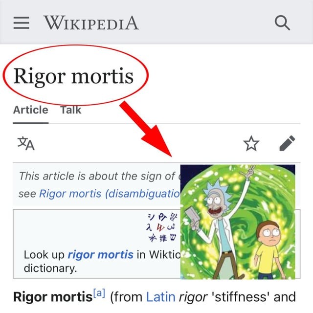 Los Últimos Memes :) Memedroid