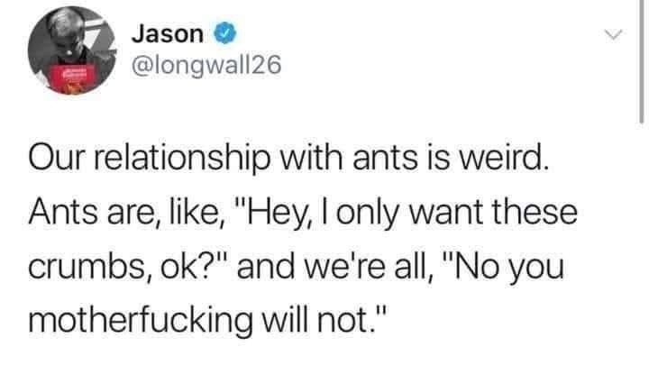 The best Ants memes :) Memedroid