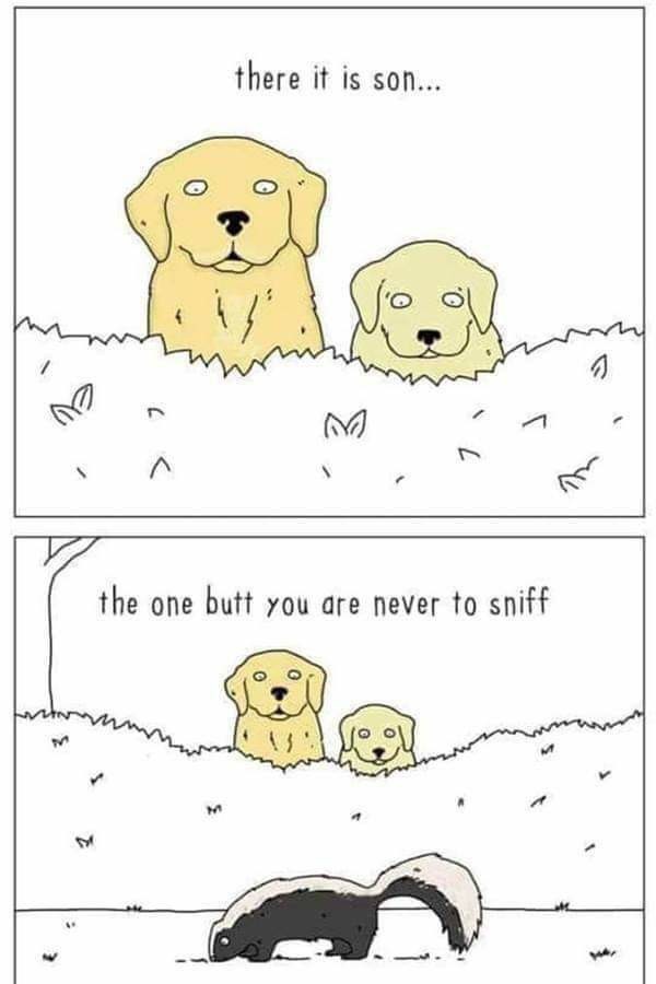 Stay far away - Meme by audilover23 :) Memedroid