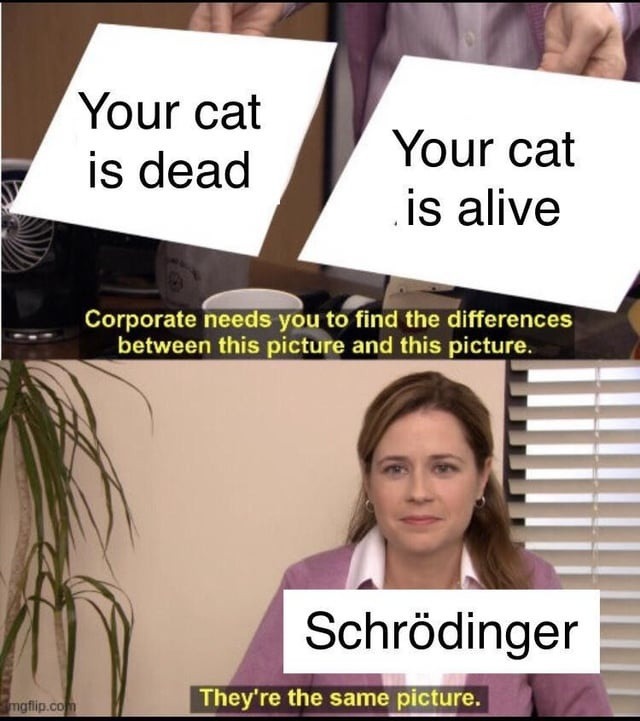 The best Schrodinger memes :) Memedroid