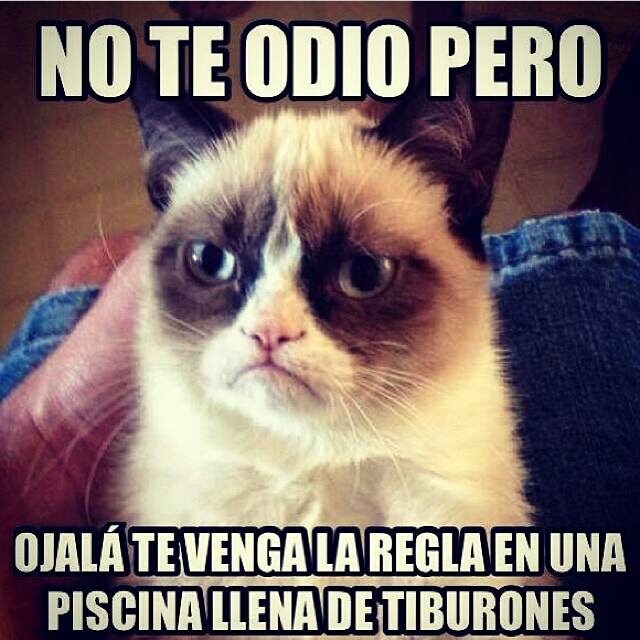 no te odio - Meme subido por RG4L_01 :) Memedroid