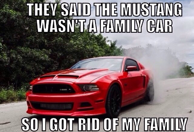Because mustang!! - Meme by Alaskanmoose :) Memedroid