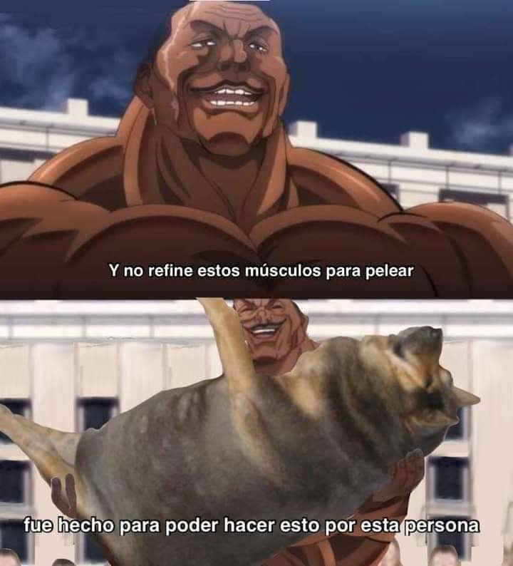 Perro waton - Meme subido por 2r._ :) Memedroid