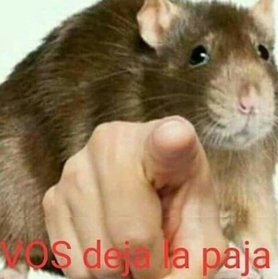 Si vos - Meme subido por DonMemes :) Memedroid