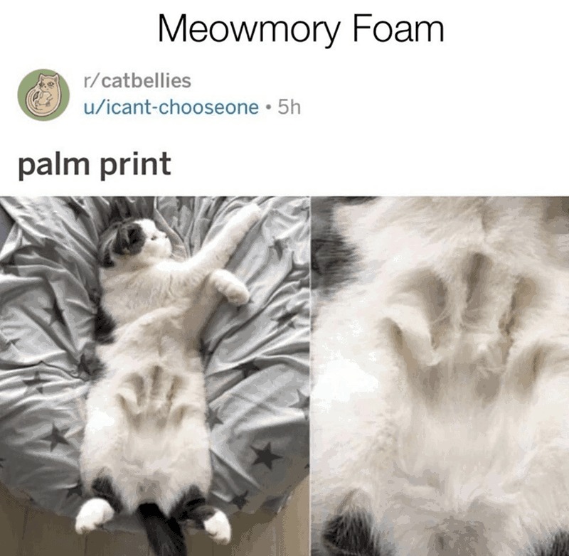 Homan was here - Meme by Scoots291 :) Memedroid