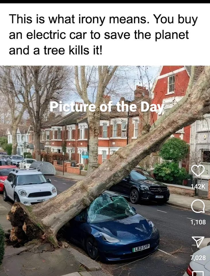 Tree Car Memes Car Memes – Clean Memes