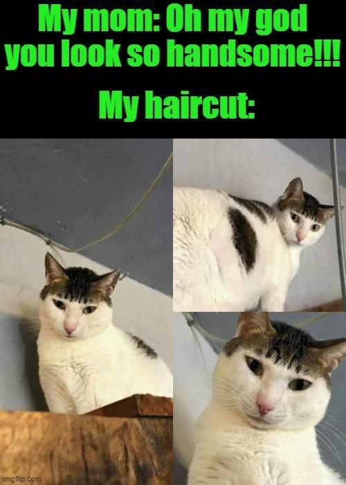 The best Haircut memes :) Memedroid