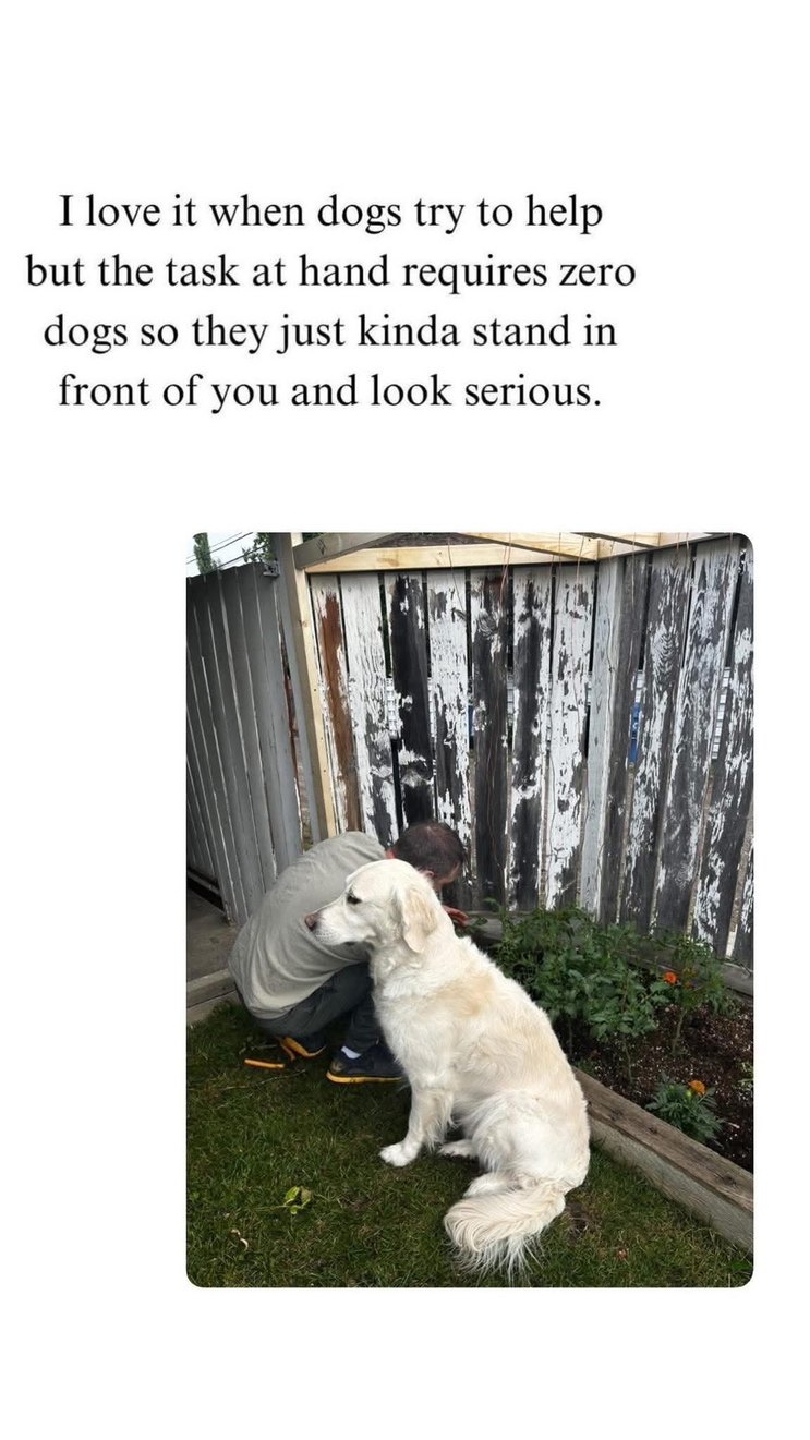 Funny Memes :) Memedroid