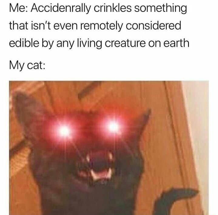 Latest memes / New memes :) Memedroid