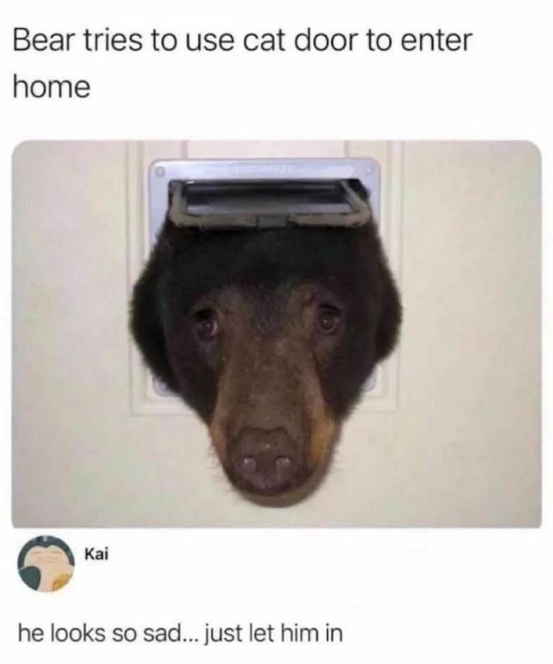 Latest memes / New memes :) Memedroid