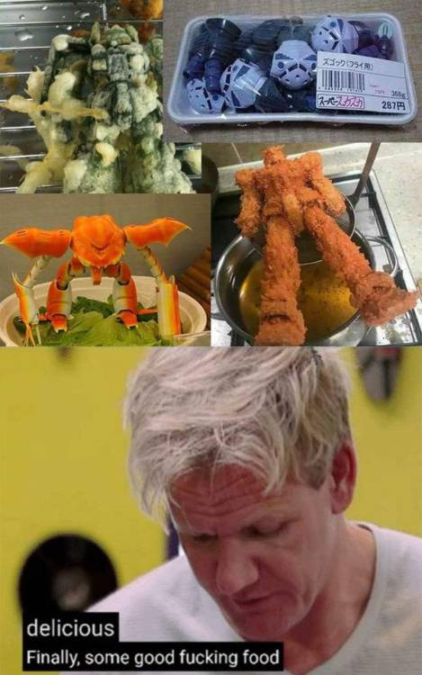 Fried gundam - Meme by Epicuris :) Memedroid