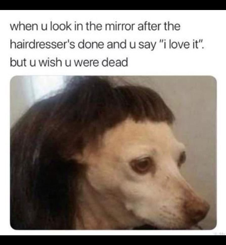 Shidddd Memes Clay Davis Meme | TikTok