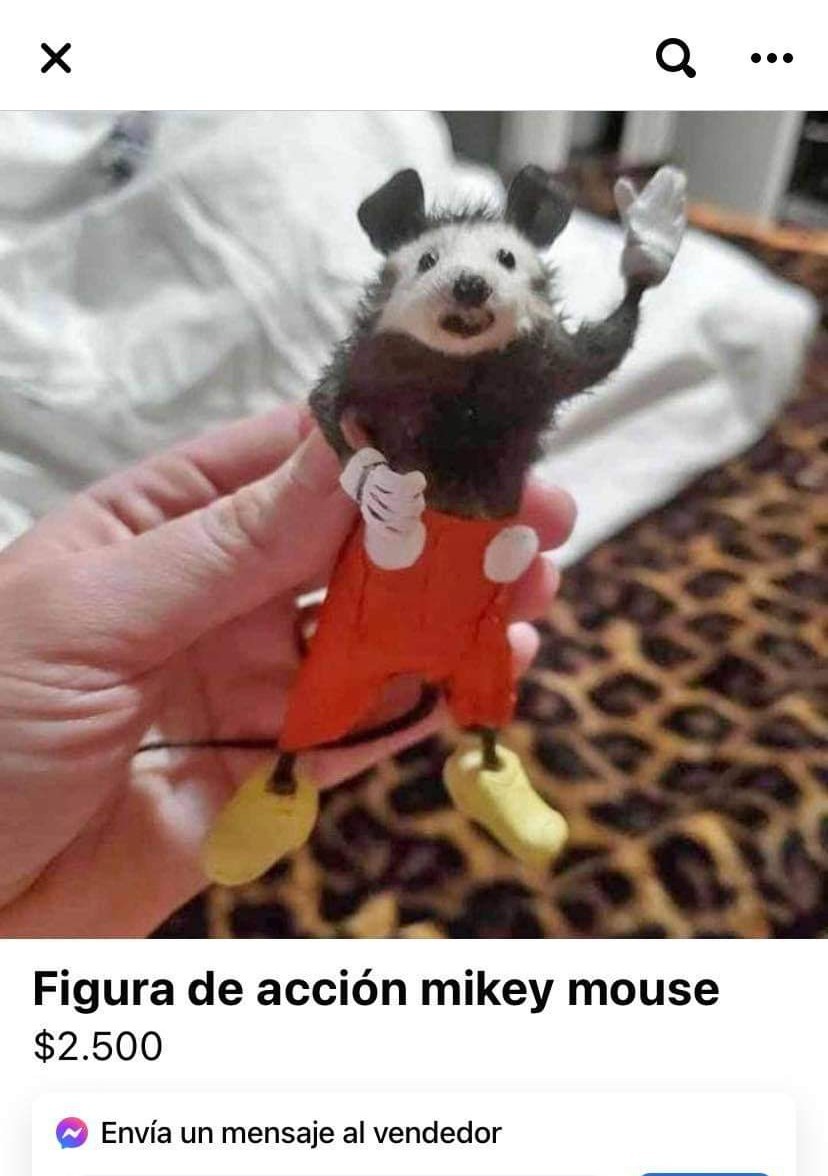 Vendo, original - Meme by No_lo_se :) Memedroid