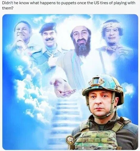 Memedroid - The best site to see, rate and share funny memes and pics!