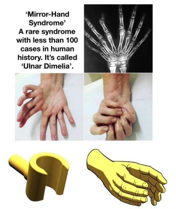 House of pain - Meme by HANDSOME-DUCK :) Memedroid