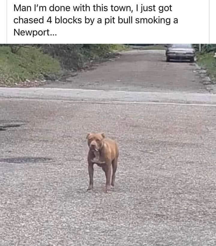 boogie on down the road for a minute... - Meme by Bloodnut187 :) Memedroid