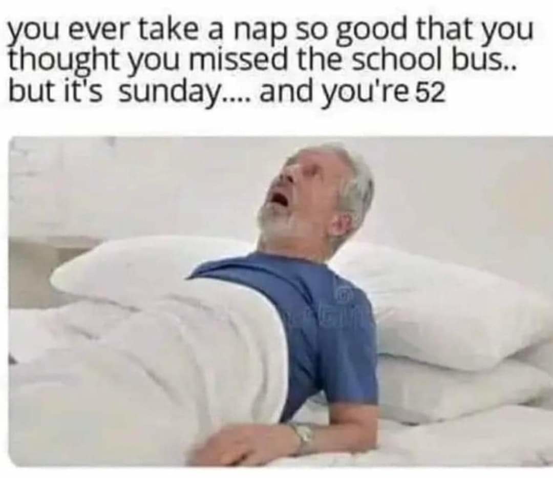 The best Nap memes :) Memedroid