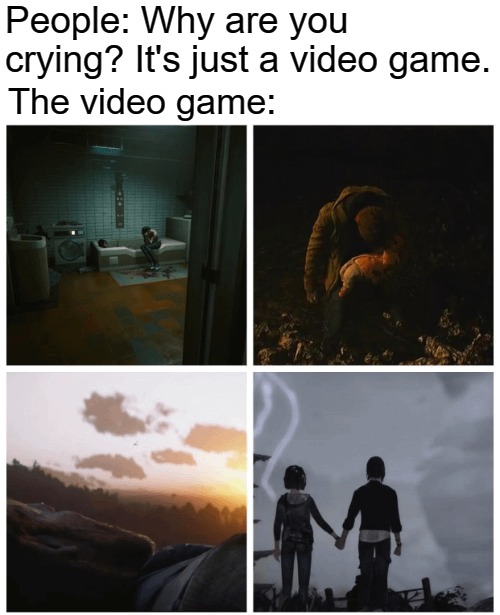 Latest memes / New memes :) Memedroid