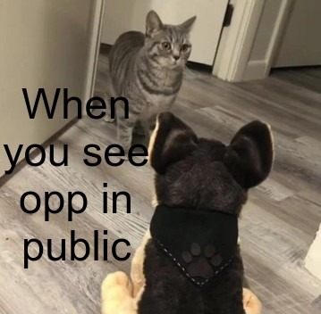 The best Opp memes :) Memedroid