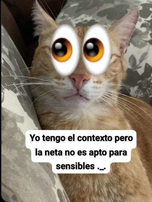 Los Últimos Memes :) Memedroid