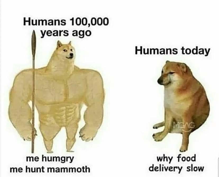 The Best Doge Memes :) Memedroid