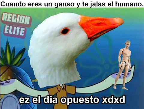 Memes Aqui Jalando #JIMMY - > This Was Going To Be Longer But I Got A