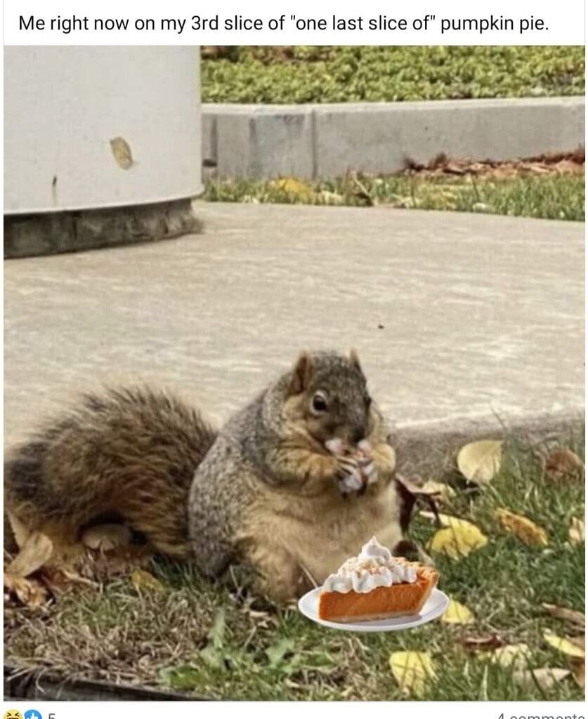 Latest memes / New memes :) Memedroid