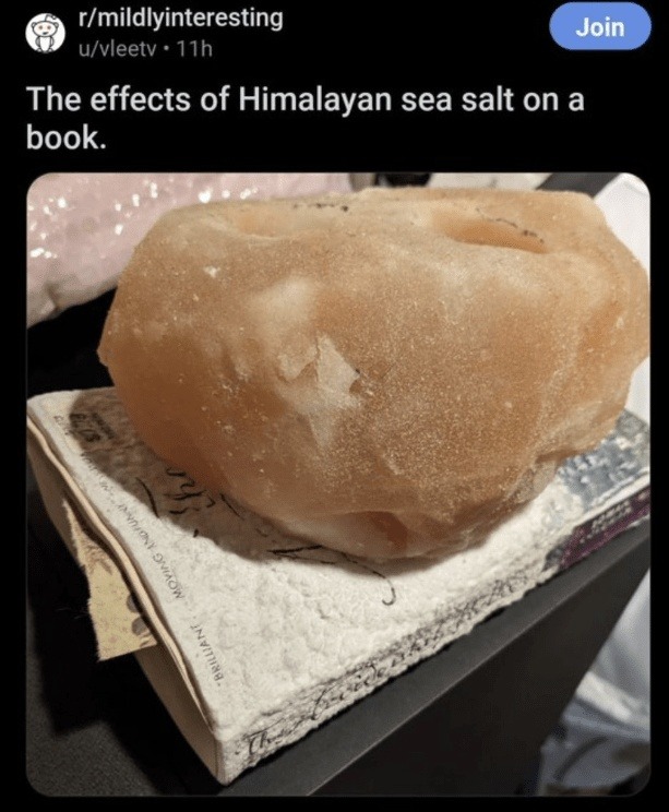 The best Salt memes :) Memedroid