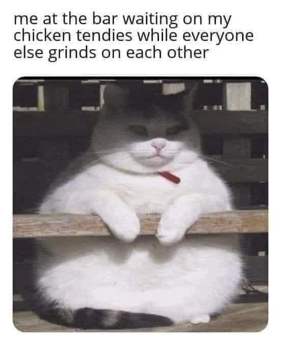 Imma Cat Memes