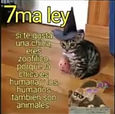 7 - Meme subido por Elloko7u7 :) Memedroid