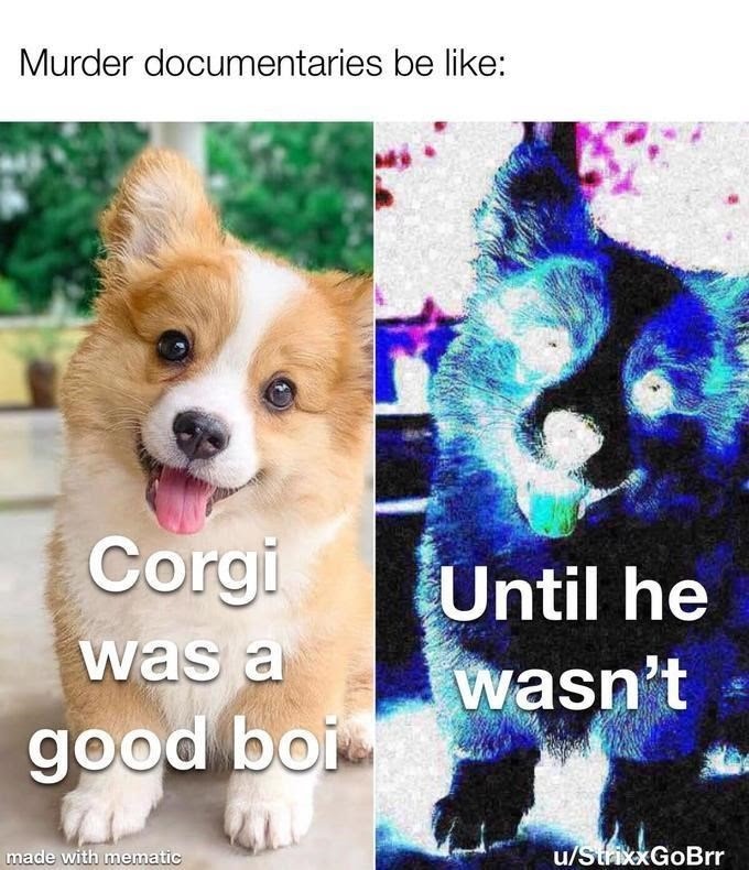 Latest memes / New memes :) Memedroid