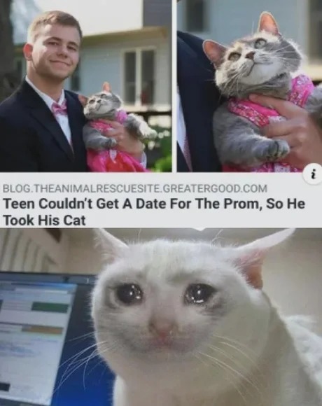 The best Prom memes :) Memedroid