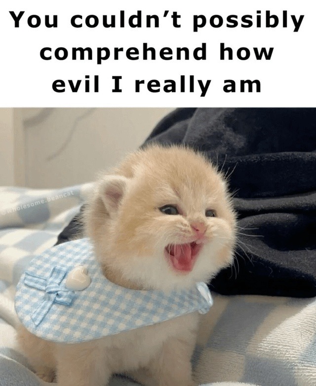The best Evil memes :) Memedroid