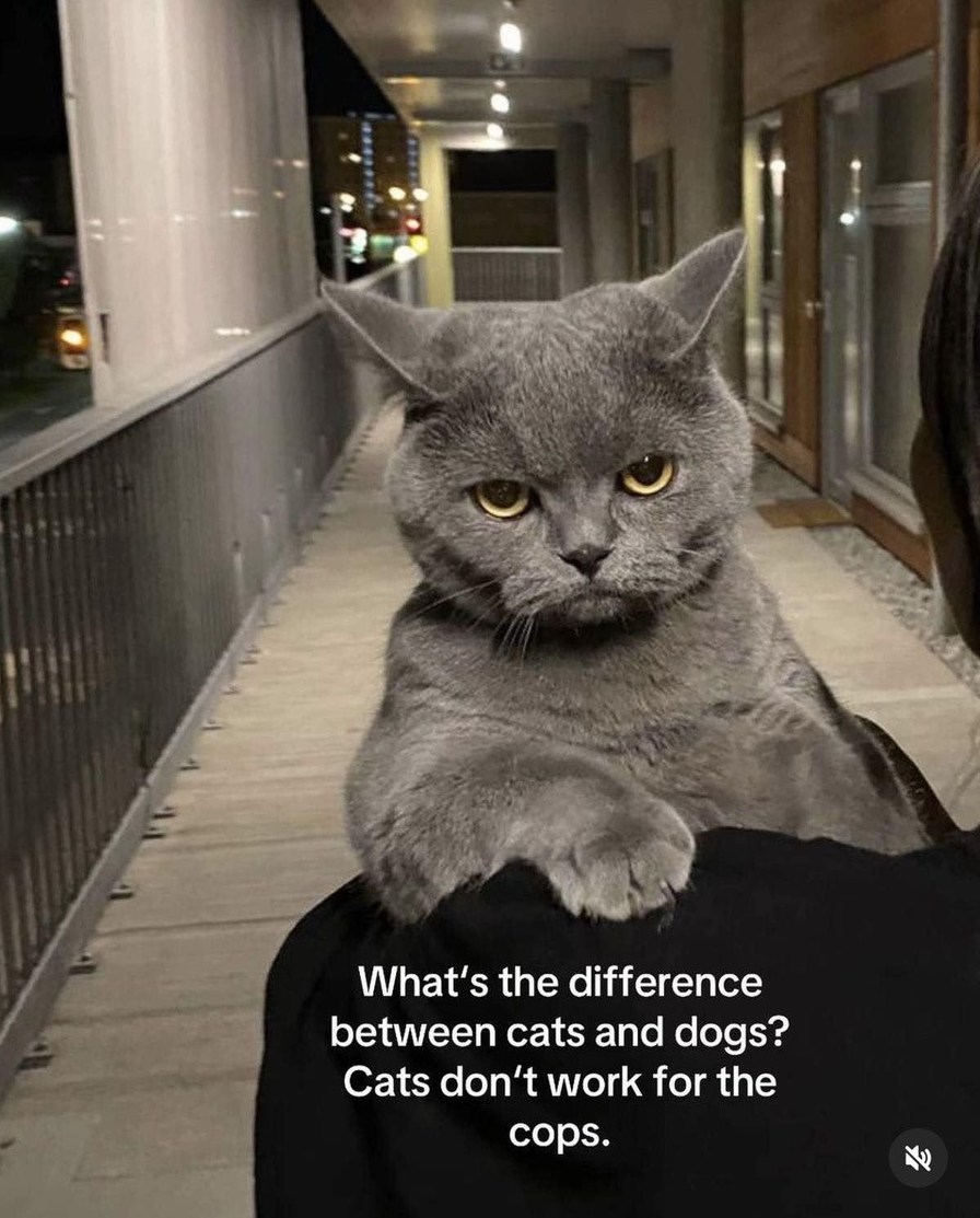 Funny Memes :) Memedroid