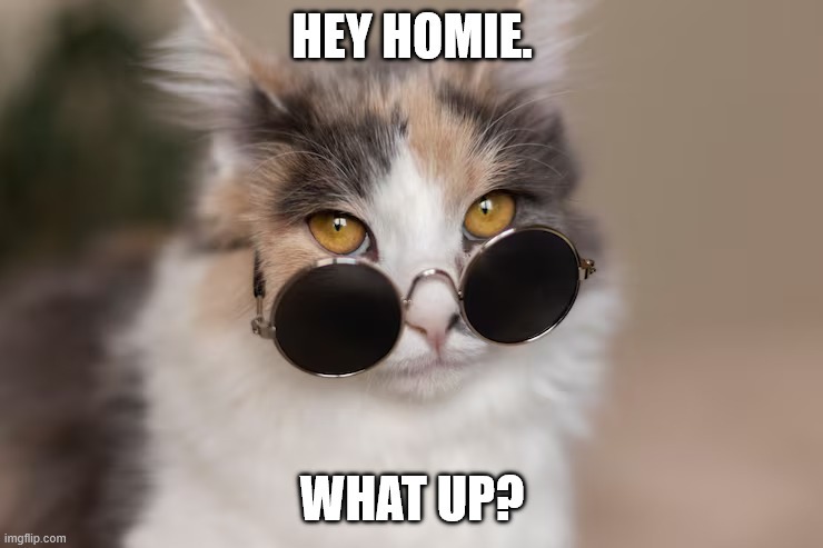 The best Homie memes :) Memedroid